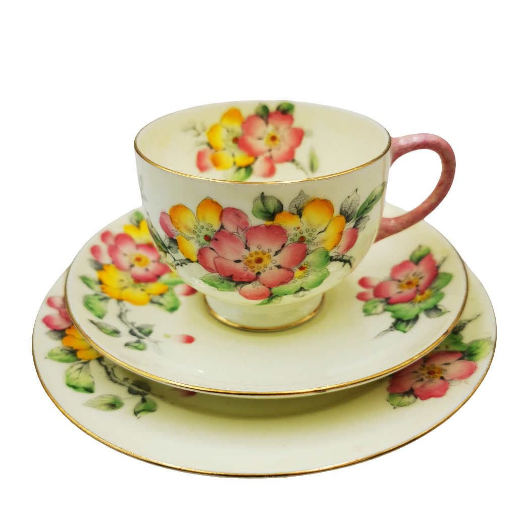 Antique Paragon China Apple Blossom G746 Teacup Trio – Vintage ...
