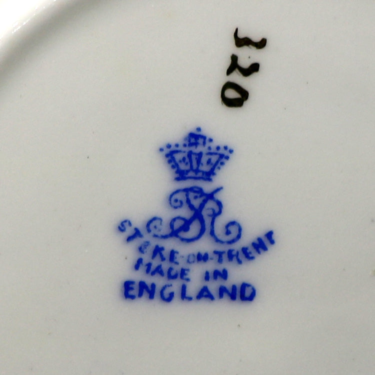 Samuel Radford Blue and White Willow Porcelain China Teacup and Saucer ...